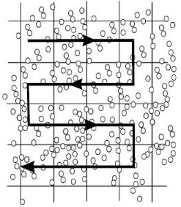 Manual Cell Counting With Neubauer Chamber - Laboratoryinfo.com
